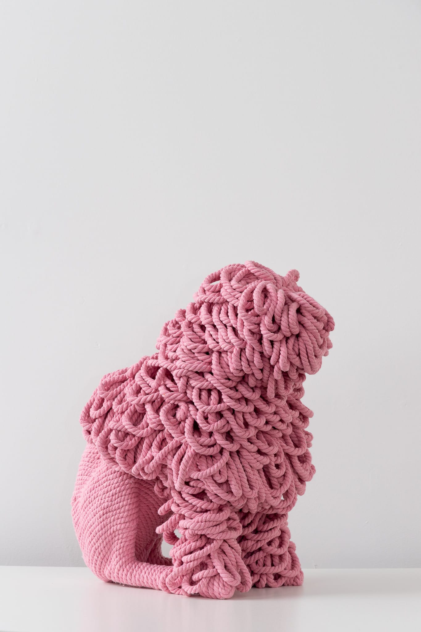 Take the medicine at the same time each day, with or without food ...