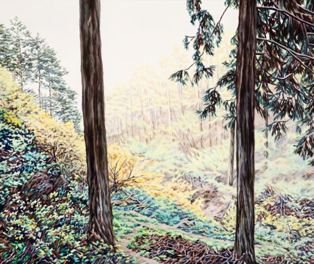 Kevin Chin – Mystic Meander 2024 – MARTIN BROWNE CONTEMPORARY